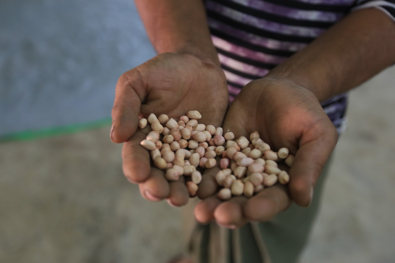 The Southeast Asia Movie Theater Project: The King Cinema - Shwebo ...