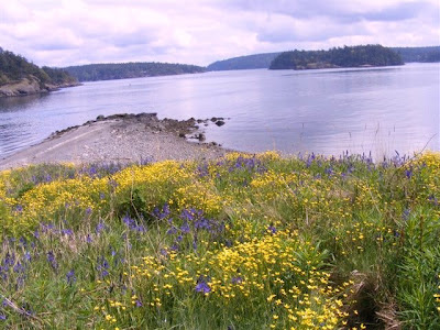 Saltwater People Log: Wild Flowers of Yellow Island with Schooner ...