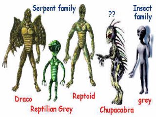 sampirant: 4 Types of Alien : Estimated If They Ever Come On Earth