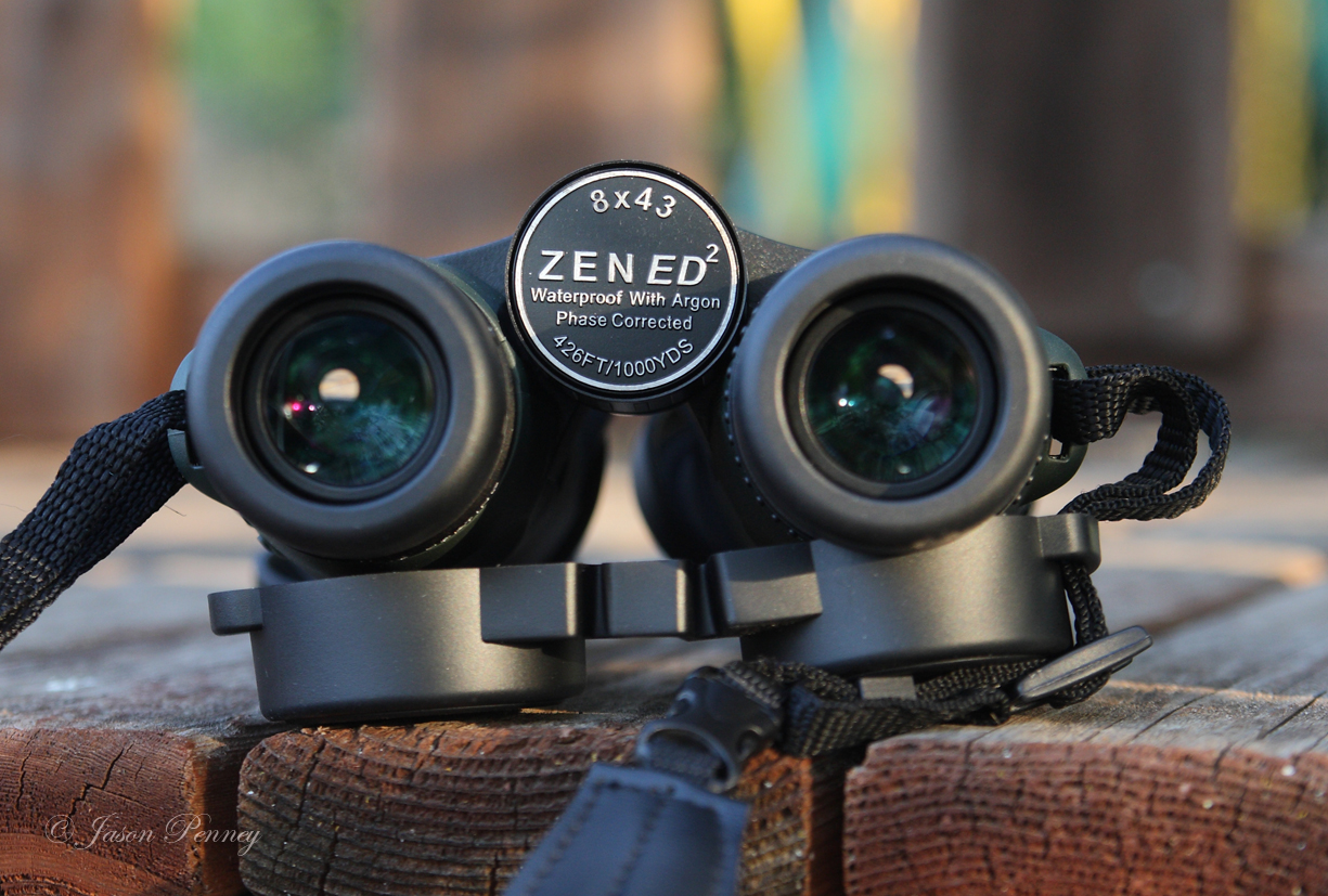 El Centavo's Gear Reviews: Zen-Ray ZEN ED2 8x43 Binocular Review