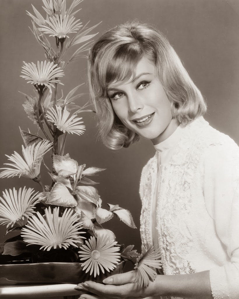 Bar do Bulga: Ecos de Barbara Eden