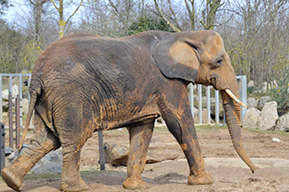 Addy Mercer Unit 4 6355