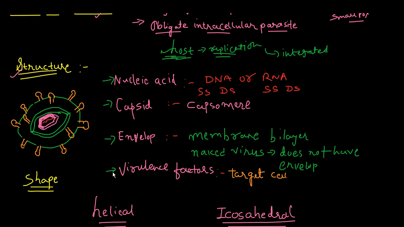 kru's biology: Viruses