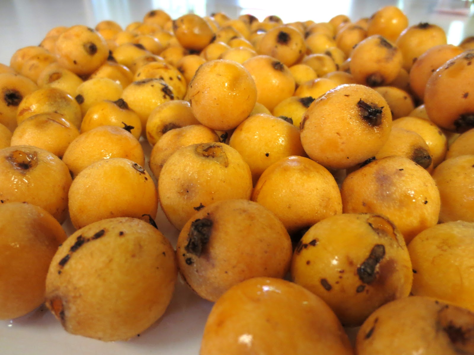 Princesses, Pies, & Preschool Pizzazz: Friday Pie-Day: Loquat Pie