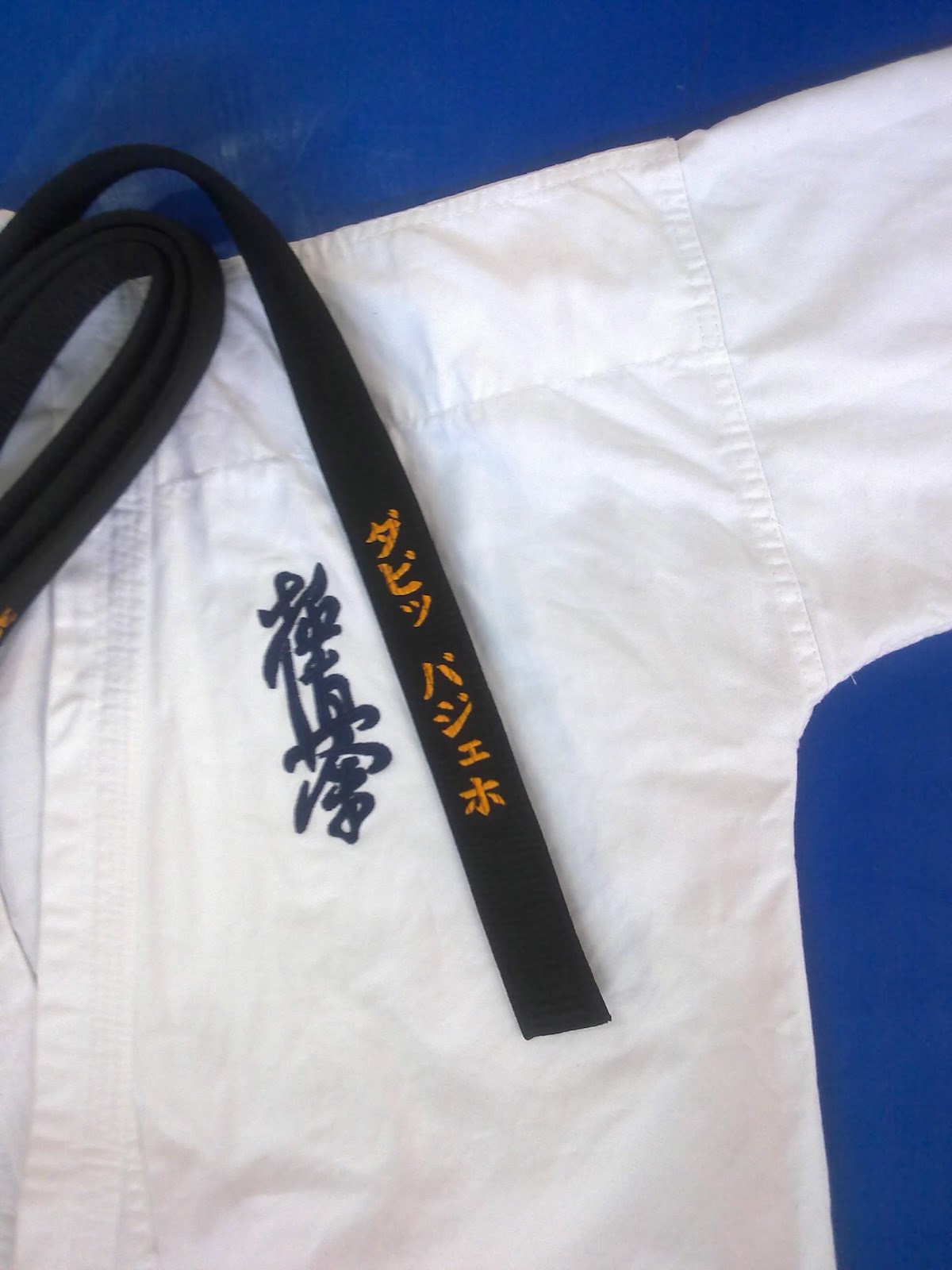 BUDOKAN blog de artes marciales : ETIQUETA CON EL UNIFORME "KARATEGI O ...