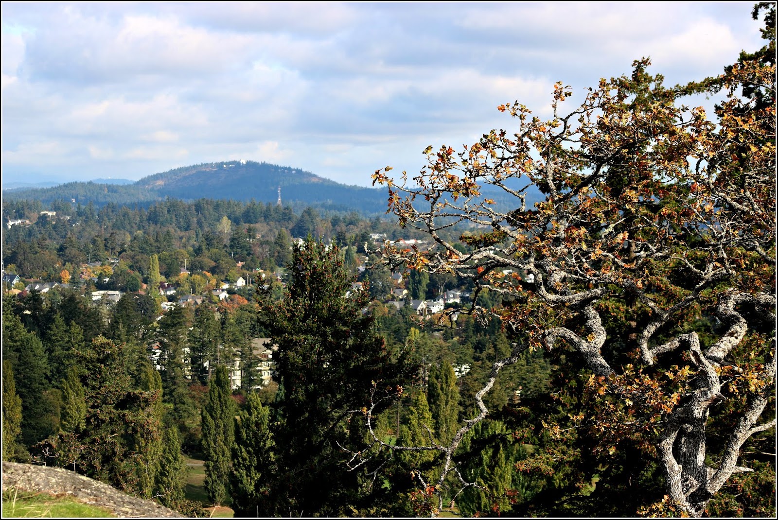Our Retirement Days: Destination Victoria BC - High Rock Park, Philips ...