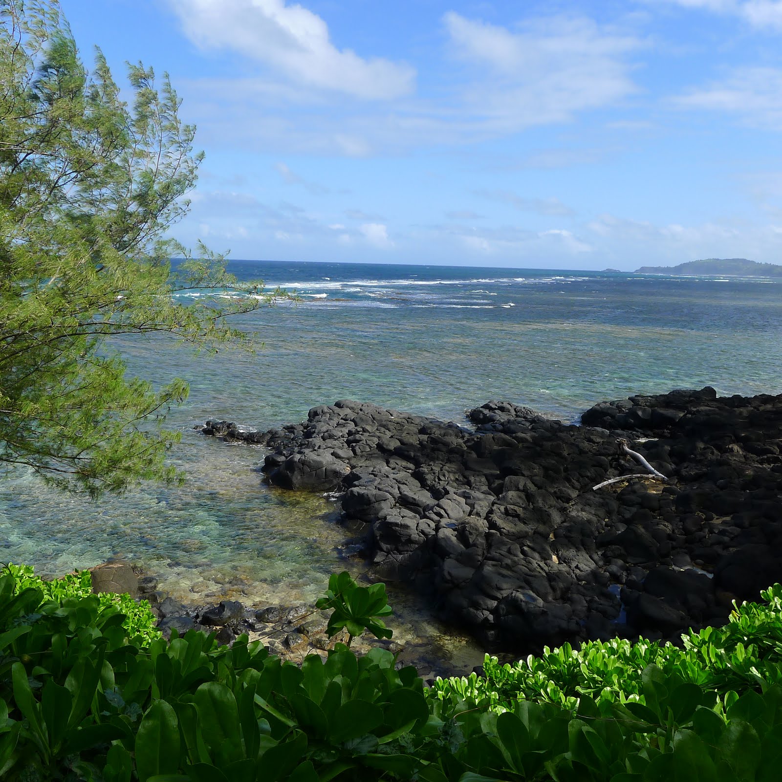 Tropical Lagoon Soup, with Seaweed and Mung Beans Recipe | RecipeStudio
