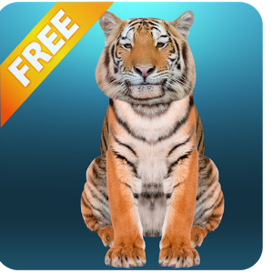 Talking Tiger: আপনাকে স্বরণ করে দিবে আপনার মনের ভাষাগুলো কি বলতে চান!!!