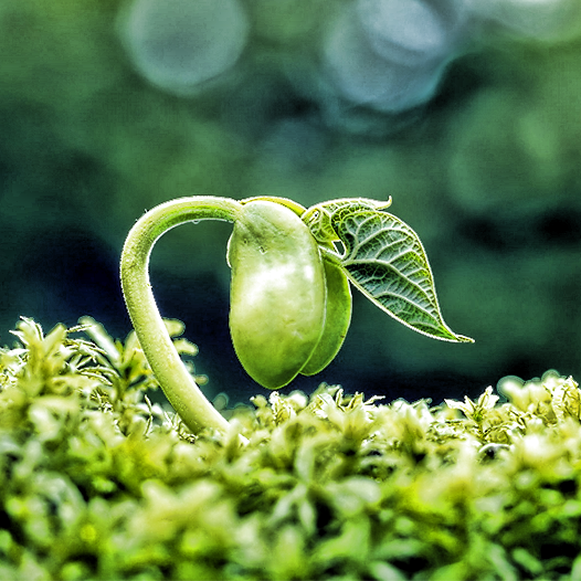 Rugged Breed : THAT'S HOW FAST LIFE IS