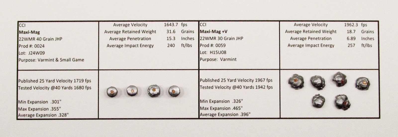 The Rimfire Channel Blog: 22 WMR Tests | CCI Maxi-Mag and Maxi-Mag +V