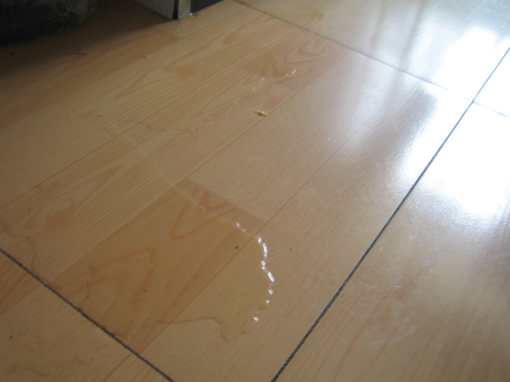 A Broad Abroad (a blog a blog): Water, Water Everywhere...