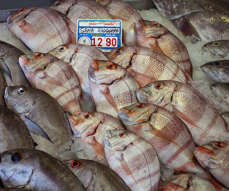 Artes de Pesca: LOS SPARIDAE