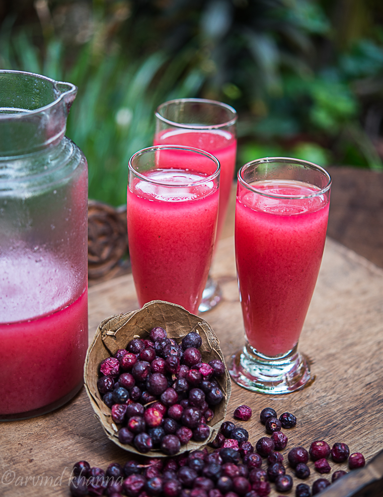 phalsa or falsa (Grewia asiatica), the deep purple summer stone fruit ...