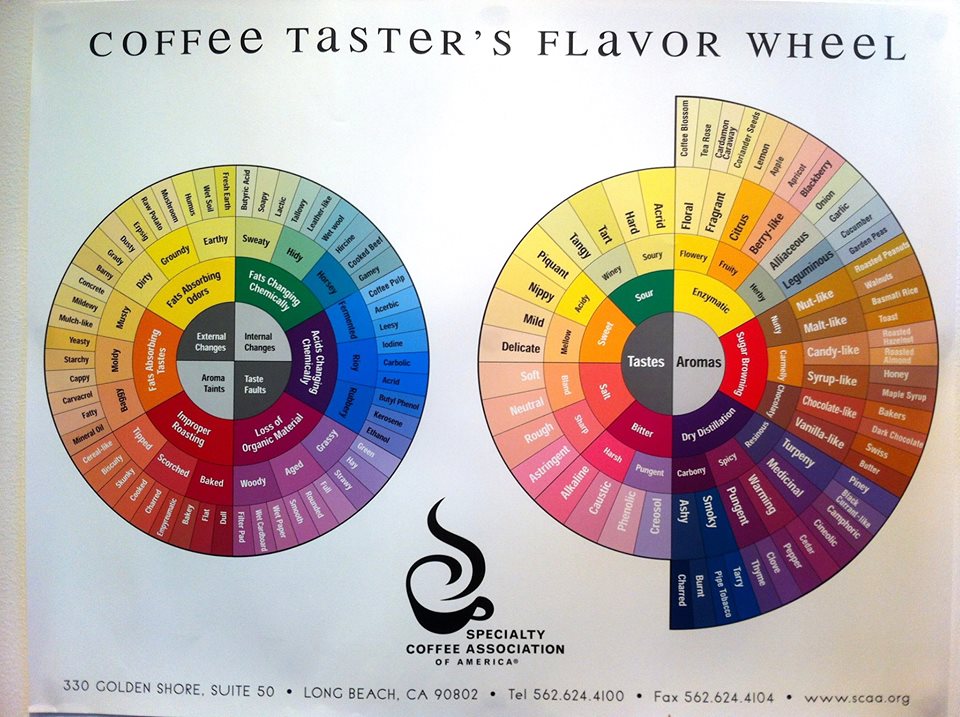 Arrow Through the Sun: Coffee Charts