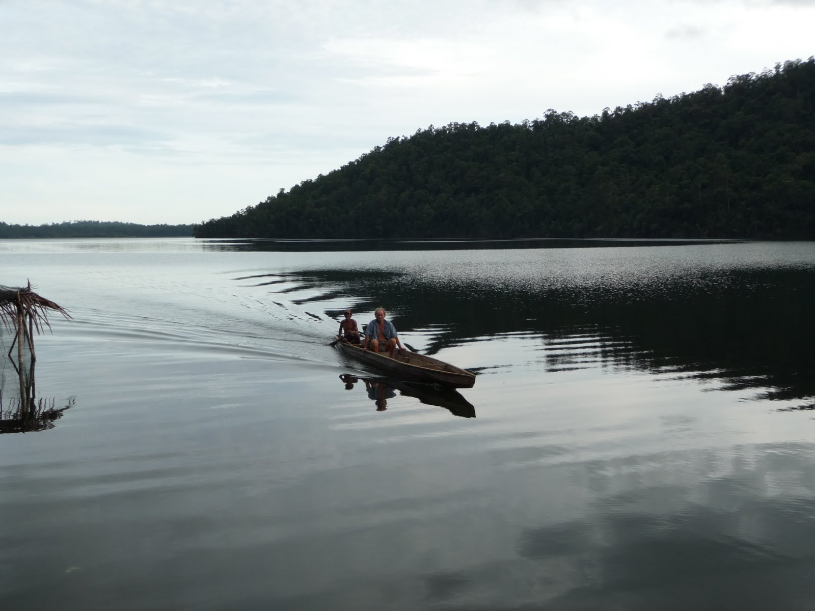 trekking in central sulawesi: trekking to morowali reserve
