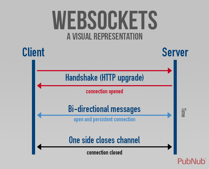 Nostra Technology Konfigurasi Websocket Dengan Angularjs