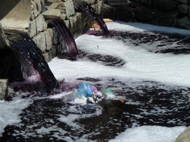 World Nature Trues: Kaveri River History