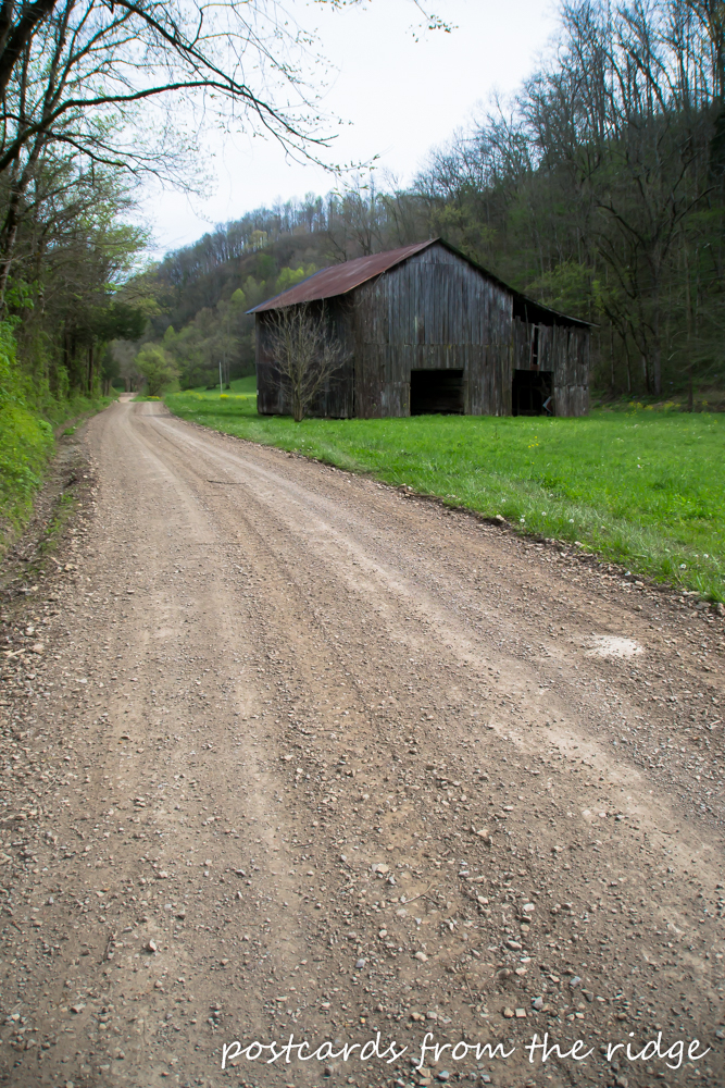 Country Roads ~ Abandoned Barns and Wildflowers in Rural Tennessee ...