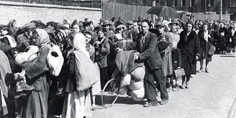 Survivre au Chaos: Fuir ou ne pas fuir : le prix de la survie et de la ...