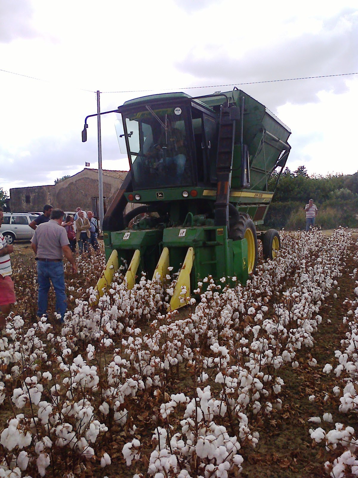Vigopensiero: La raccolta del cotone
