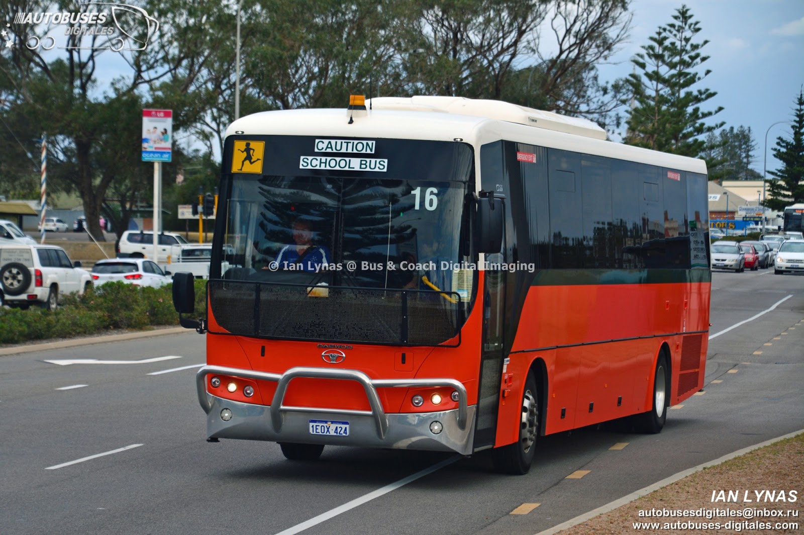 Autobuses regionales de Australia | Commuter Buses in Australia ...