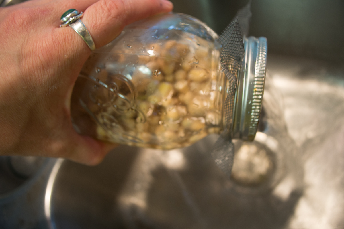 TRULY ORIGINAL ORGANICS: Sprouting Raw Beans at Home