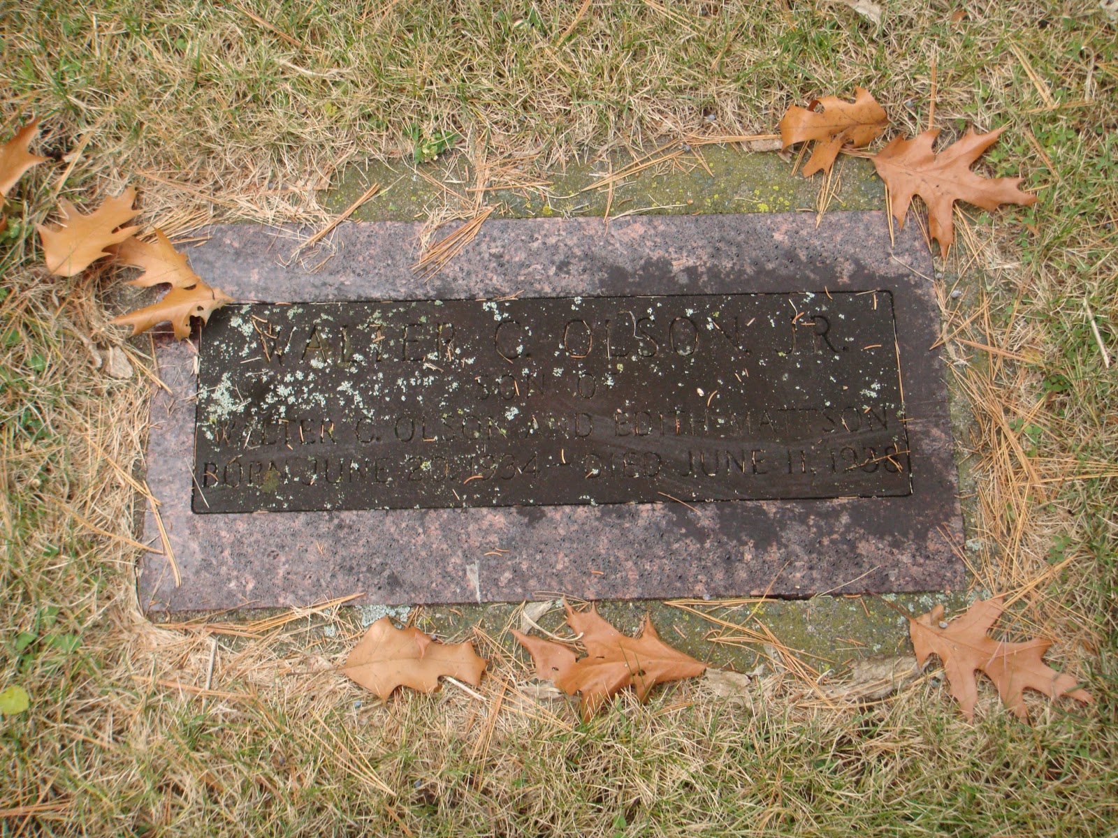Minnesota Cemeteries: Darling Cemetery Children (Morrison County) Minnesota