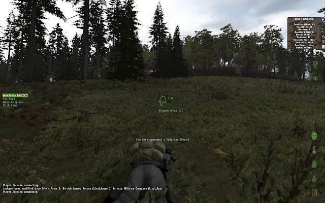 Kodabar DayZ blog: DayZ - How to play