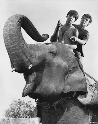 TV BANTER : Jay North: TV's Dennis the Menace