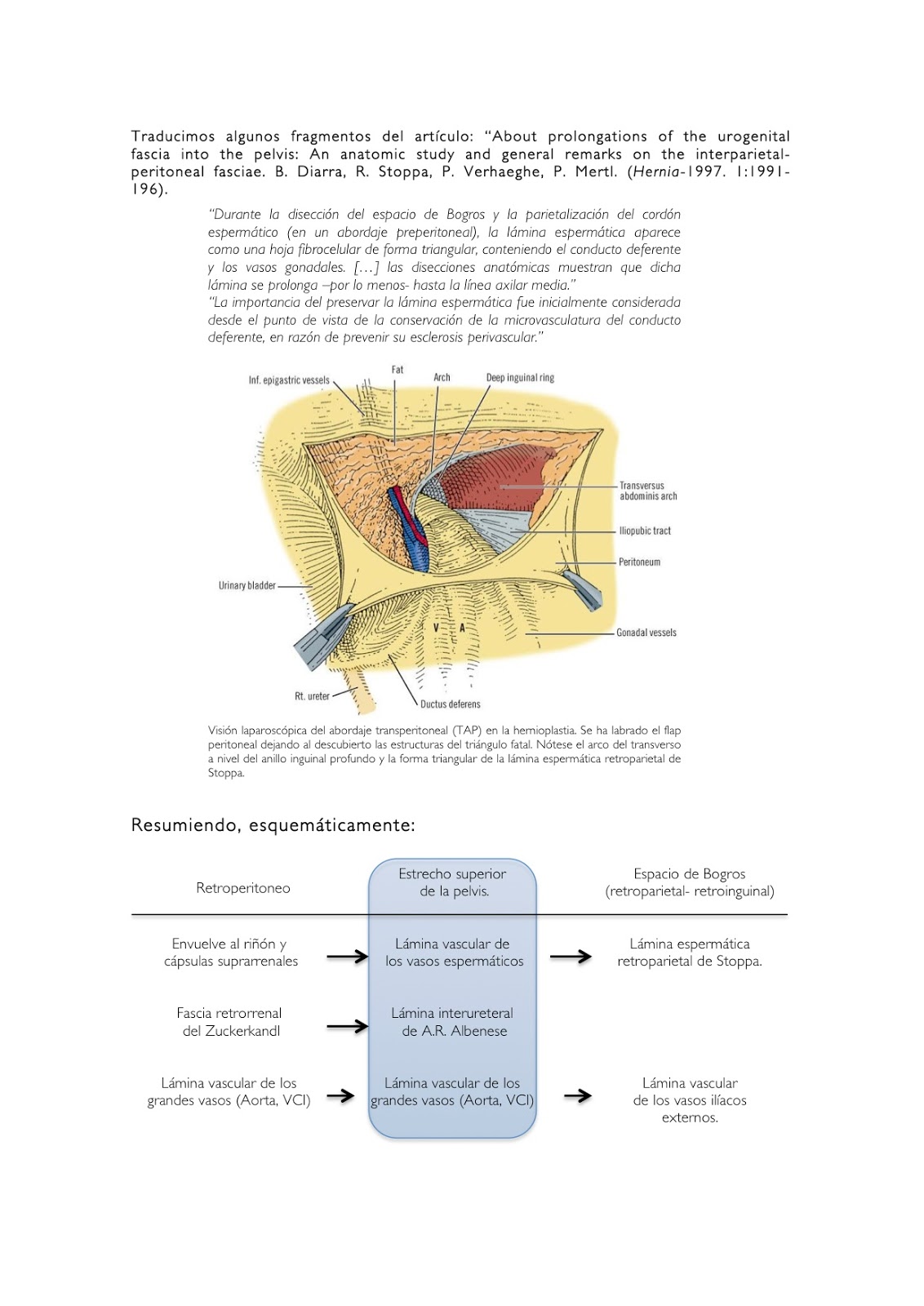 Cuadernos de Anatomía Quirúrgica: La Lámina inter-ureteral de Albanese.