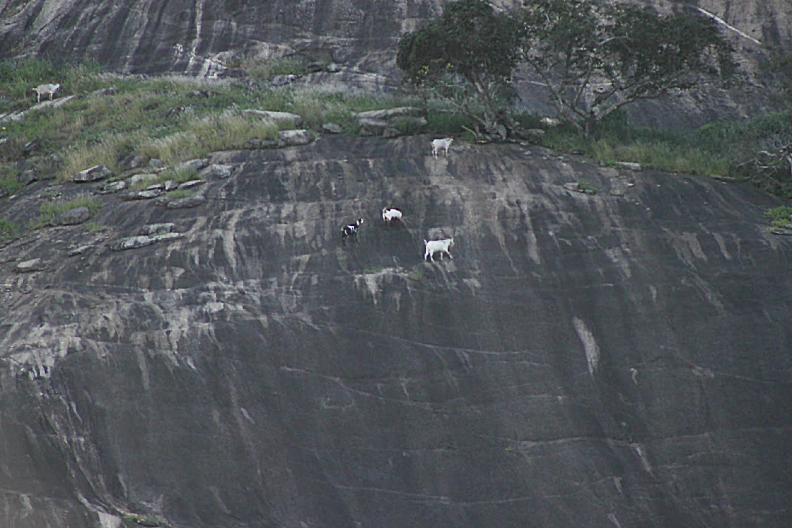Mundo das Montanhas: Pedra do Bode