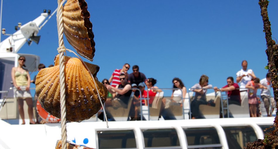 Santiago de Compostela : Símbolos y tradiciones, la Concha de Vieira y ...