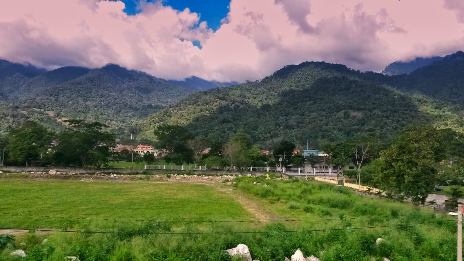 DULCE BELLUN INEXPERTIS