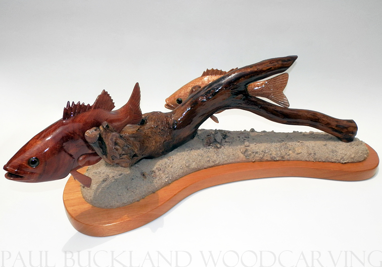 Paul Buckland Woodcarving: Australian Bass 1