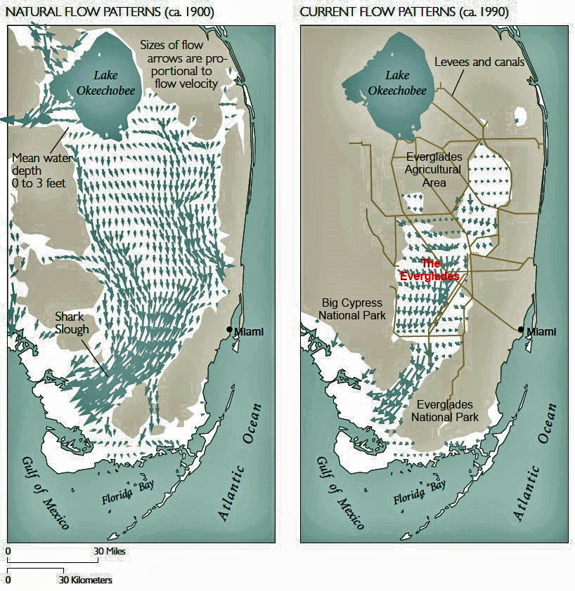 Written In Stone...seen through my lens: First Visit to the Florida ...