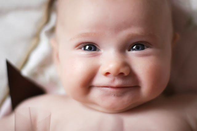 Andrea Finnegan Photography