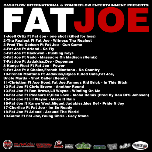 DJ FOCUZ MIXTAPES: FAT JOE : I GOT FT'S