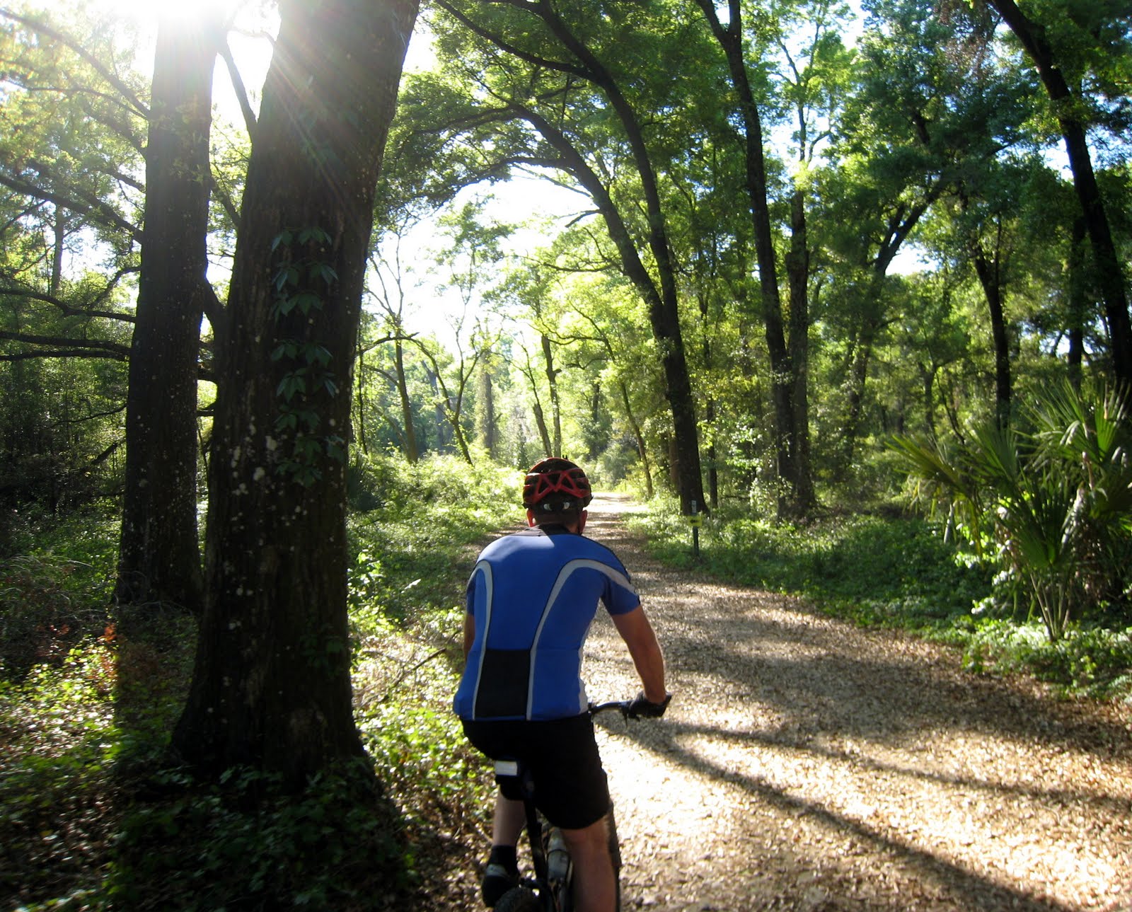 Biking with Roy: The Land Bridge Trail Ride