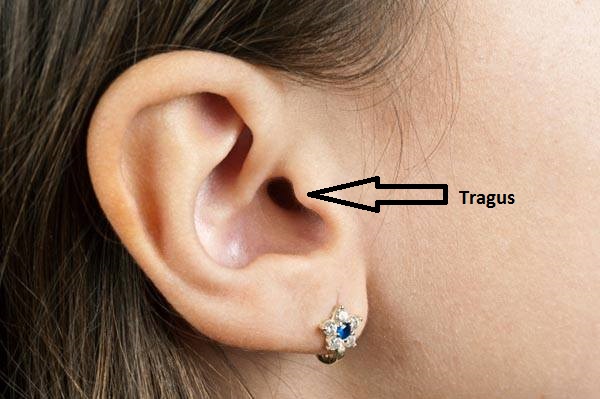 modernang maria: Parts of the Body You Probably Don't Know the Name