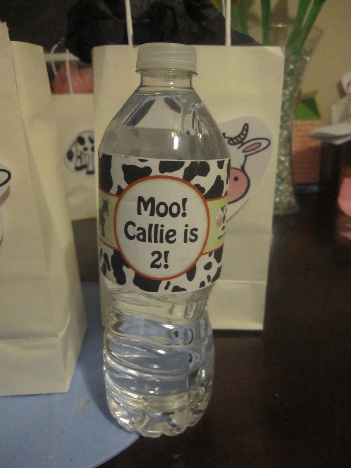 Jakobe David Sitrick~ January 24, 2008: Sissy Monster's 2nd Birthday ...