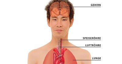 Učenje Njemačkog jezika kod kuce kroz lekcije A1 A2 A3 B1 B2: Der ...