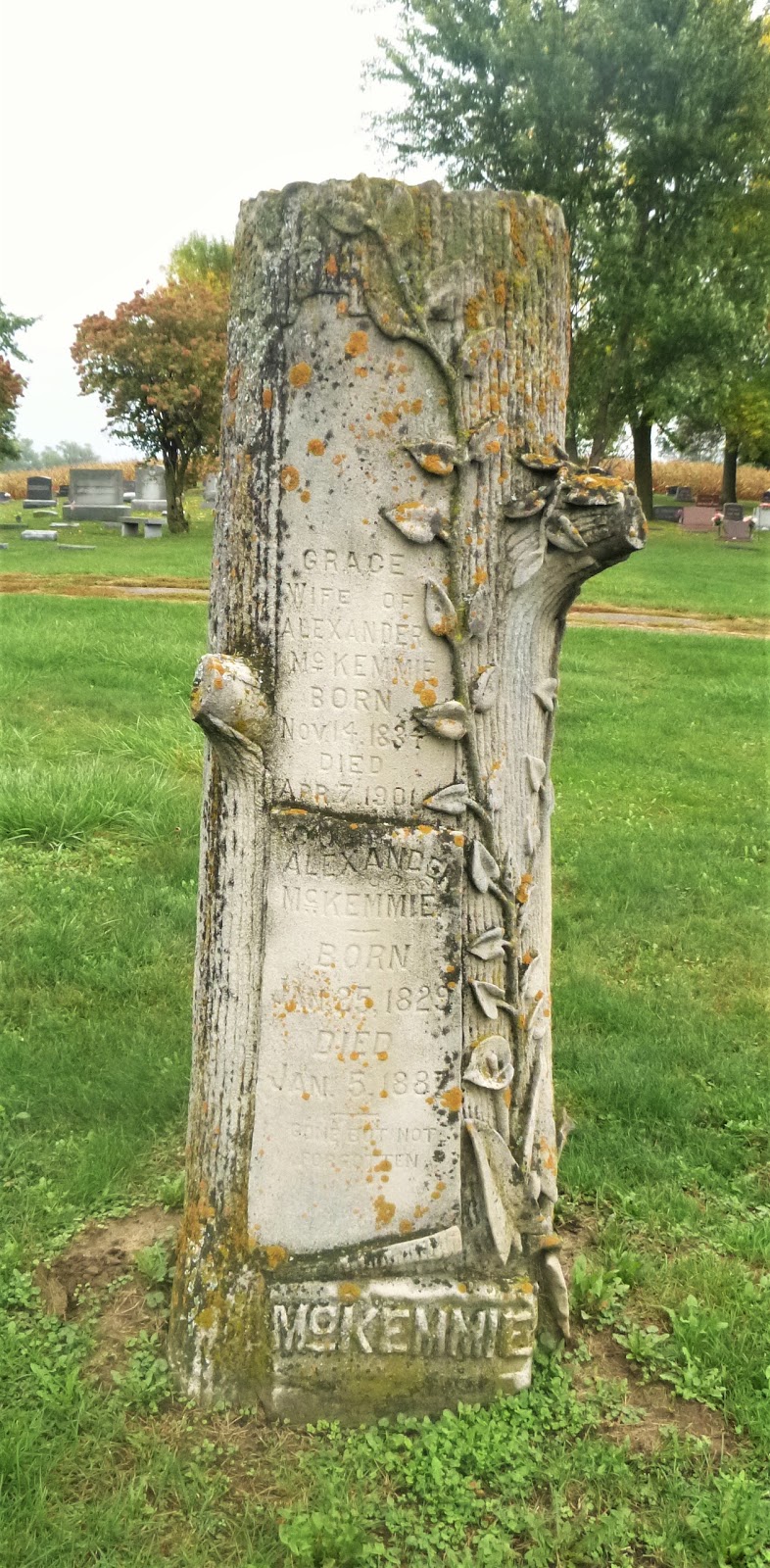 Detritus of Empire: Tree Shaped Tombstones - Cassville Wisconsin