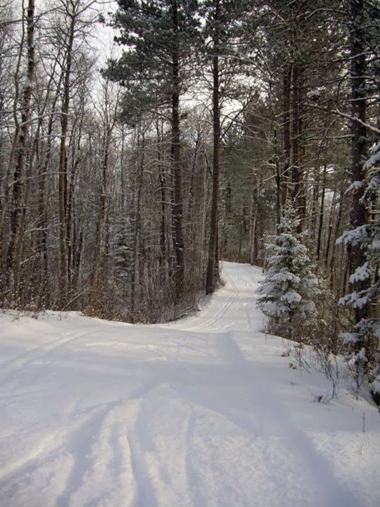 MN Bike Trail Navigator: Giants Ridge Now Welcomes Fatbikes and Will ...