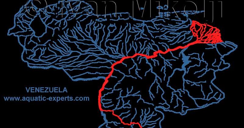 RIO ORINOCO: Rio Orinoco