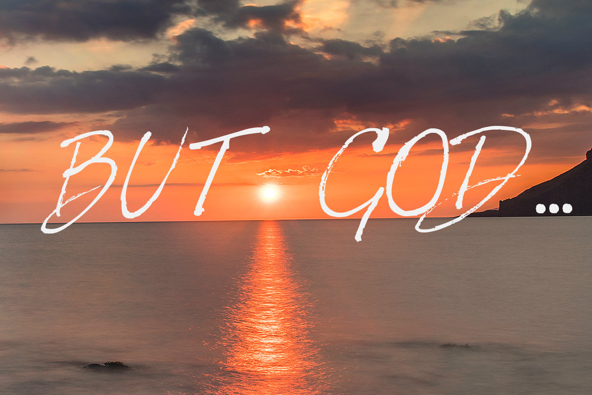 This Unscripted Life