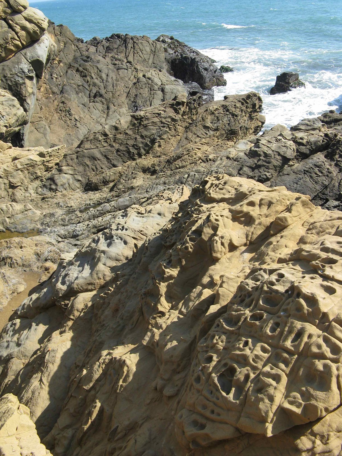 In the Company of Plants and Rocks: tafoni #3