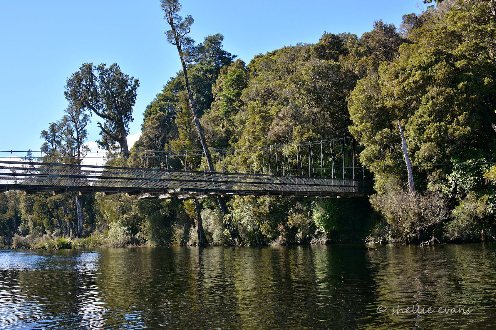 Two Go Tiki Touring: Beautiful & Bountiful Lake Brunner