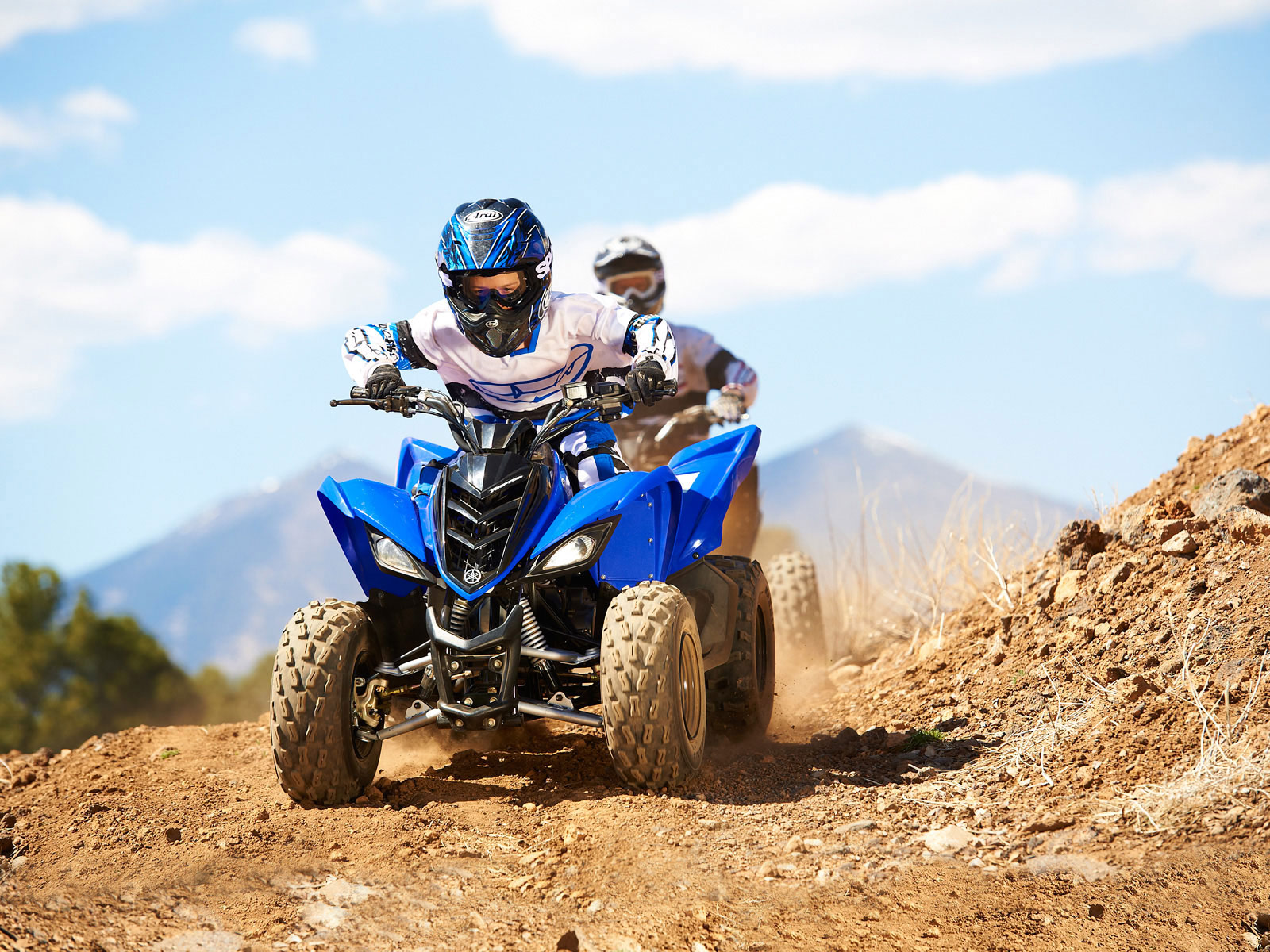 2012 YAMAHA Raptor 90 ATV wallpapers, review, specifications