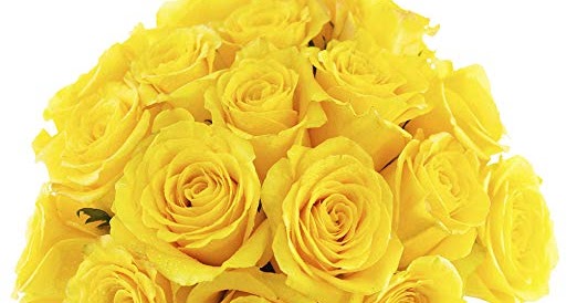 KaBloom Valentine's Day Collection: Bouquet of 18 Fresh Yellow Roses ...