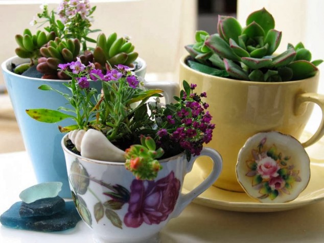 15 Simple But Creative DIY Ideas To Grow Plants And Decorate Your Home ...